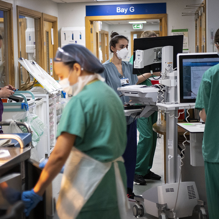 Distribution | INNOGEN